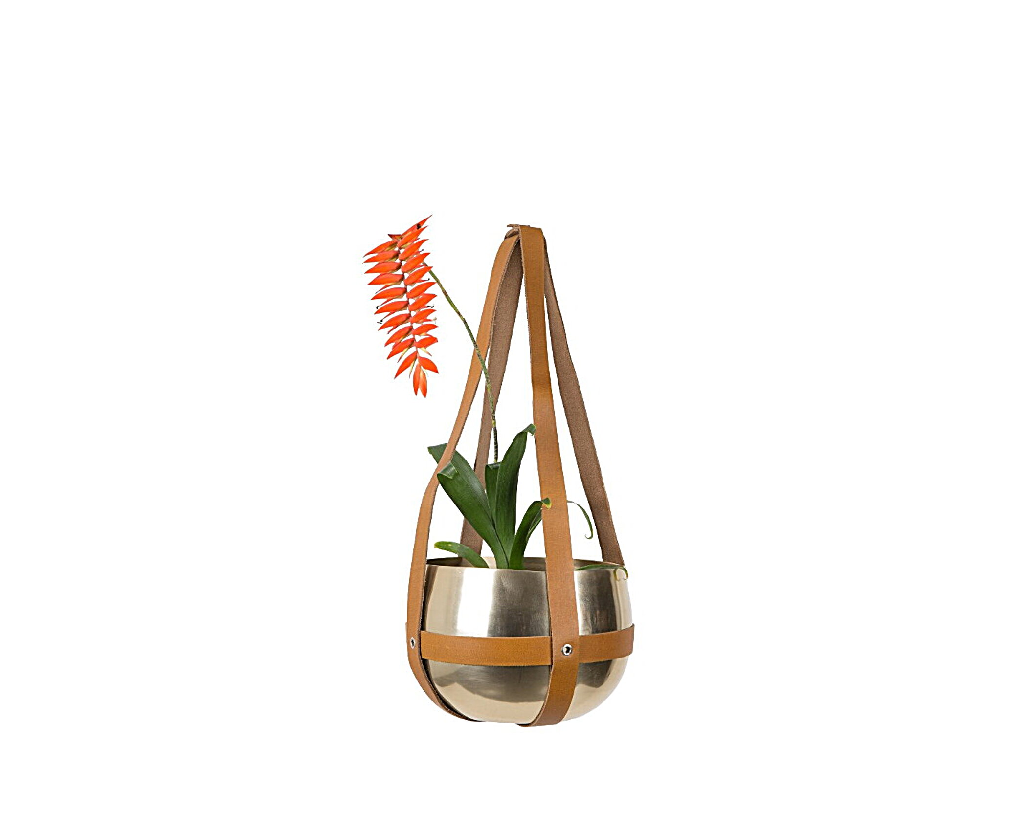 Dutchbone Plantenhanger Oasis | Slechts €49 | Meubelplaats.nl